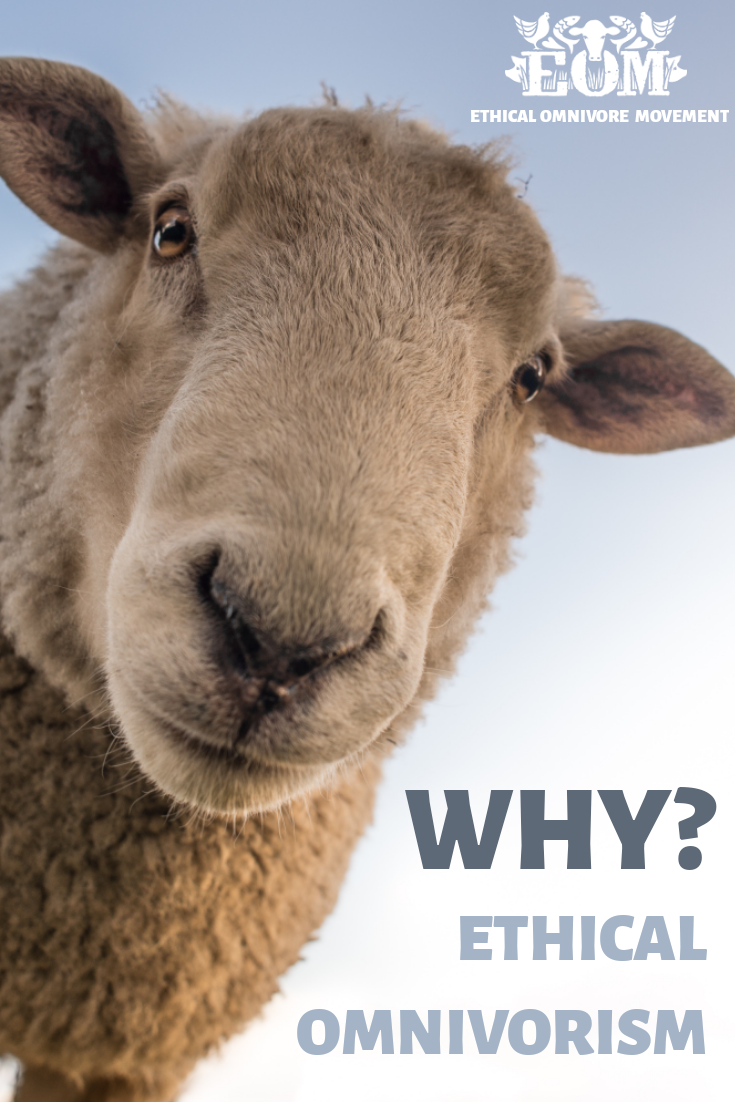 Why Ethical Omnivorism - Ethical Omnivore